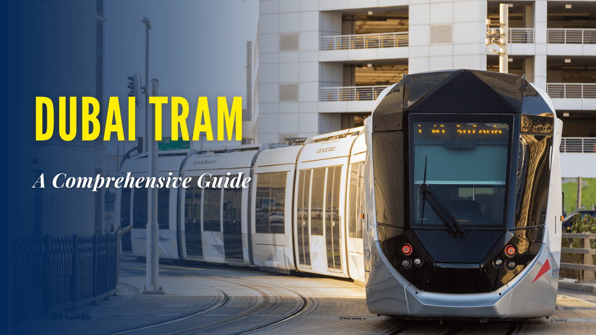 Dubai Tram Guide: Map, Stations, Timings, Ticket Price & More