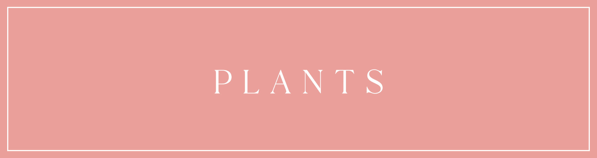 Japanese Plants | Order Plants Online | Same Day Delivery