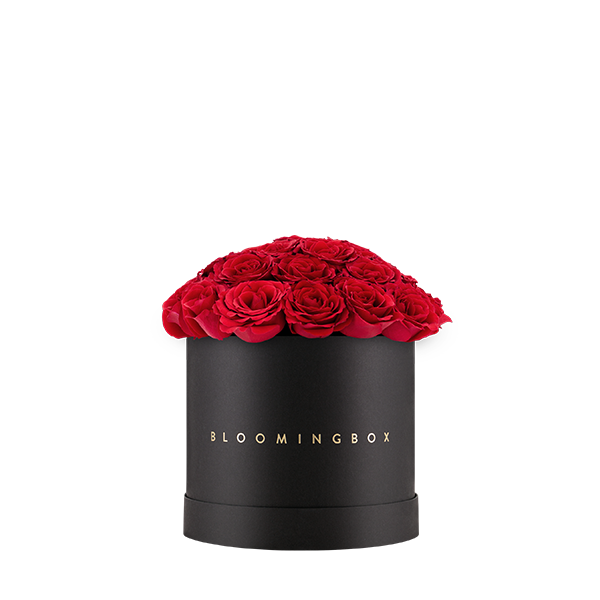 Boxes Delivery | Same Day Boxes Delivery in Abu Dhabi