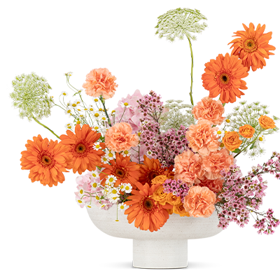 Online Gift Shop UAE | Buy Gifts Online | Same Day Delivery