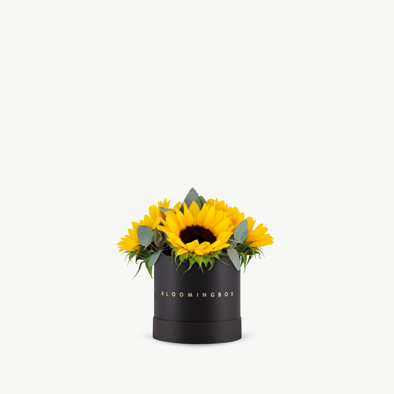 Sunflowers Box Small - Same Day Delivery