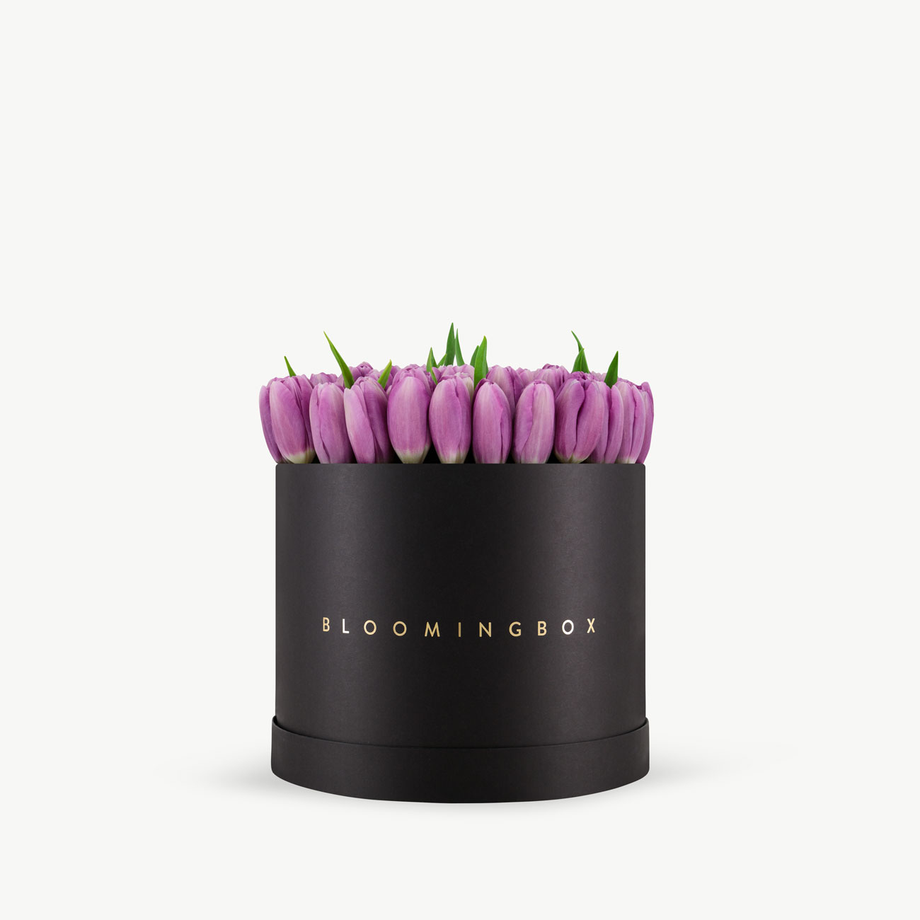 Tulip Box Large - Same Day Delivery