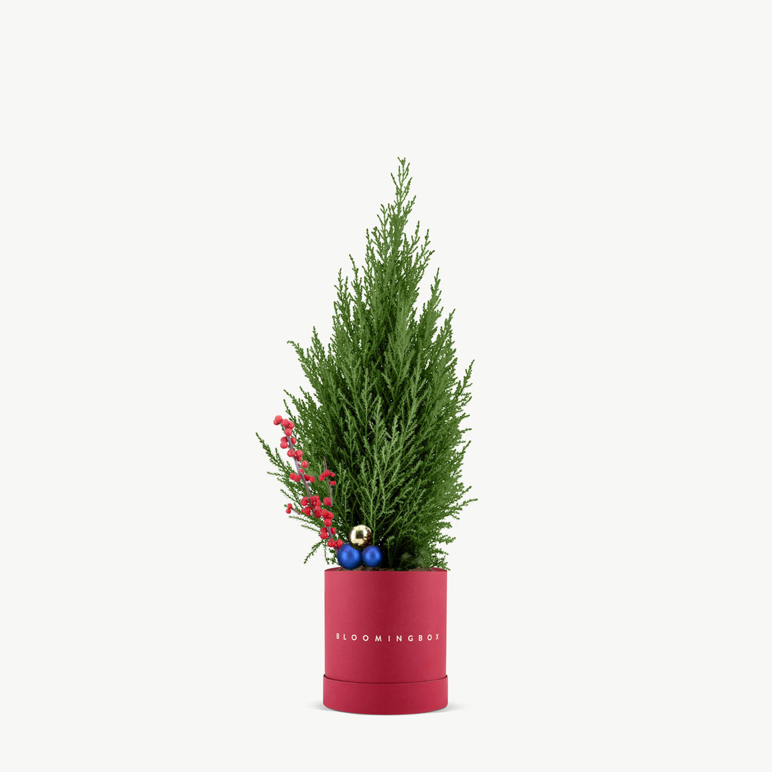 Mistletoe Mini Christmas Tree - Same Day Delivery