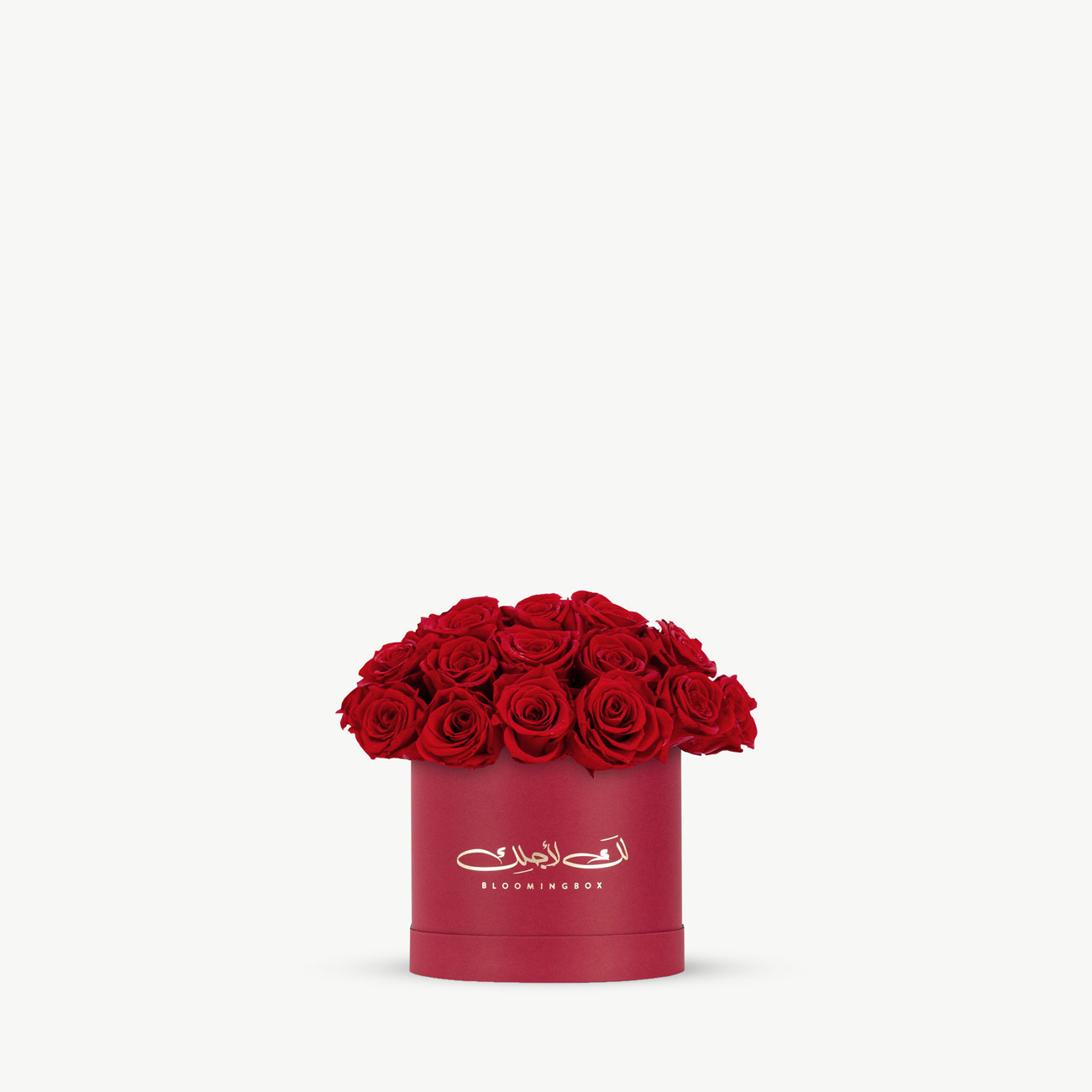 Medium Infinity Rose Box - Same Day Delivery