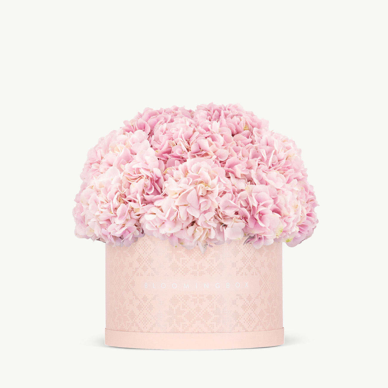 Hydrangeas Box X-Large - Same Day Delivery